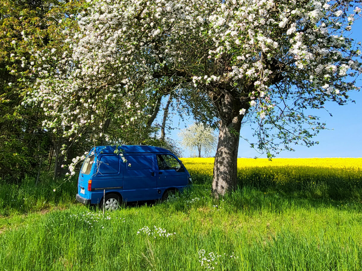Buddies stellen sich vor: Piaggio Porter S90-Minicamper von Olli